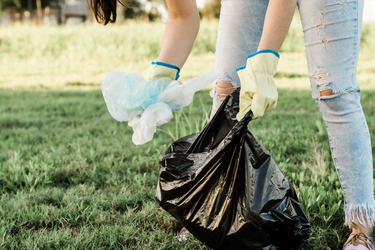 45 Best Bible Verses About Taking Care of the Earth