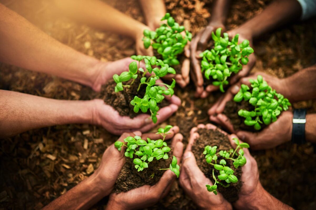 45 Powerful Bible Verses About Protecting the Environment (KJV)