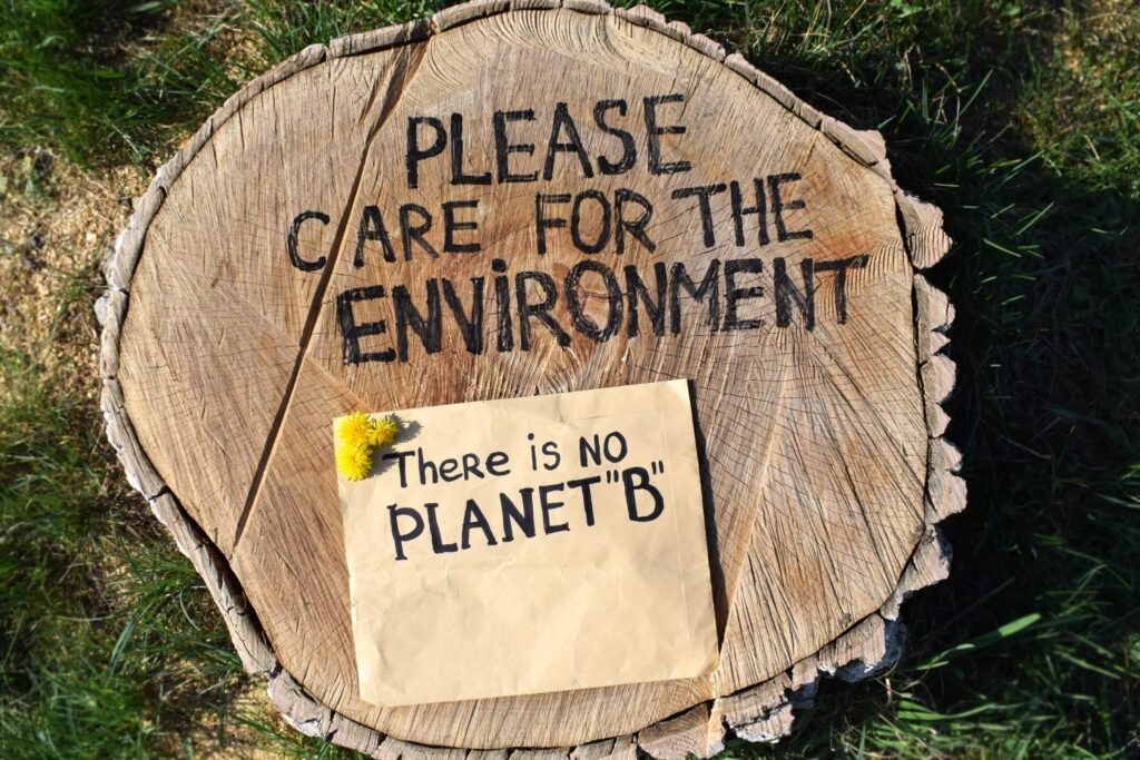 45 Powerful Bible Verses About Protecting the Environment (KJV)