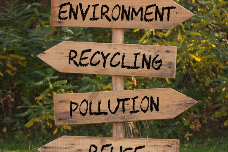 45 Powerful Bible Verses About Protecting the Environment (KJV)