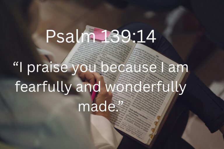 Best November Bible Verses: 30 Scriptures for Peace and Renewal