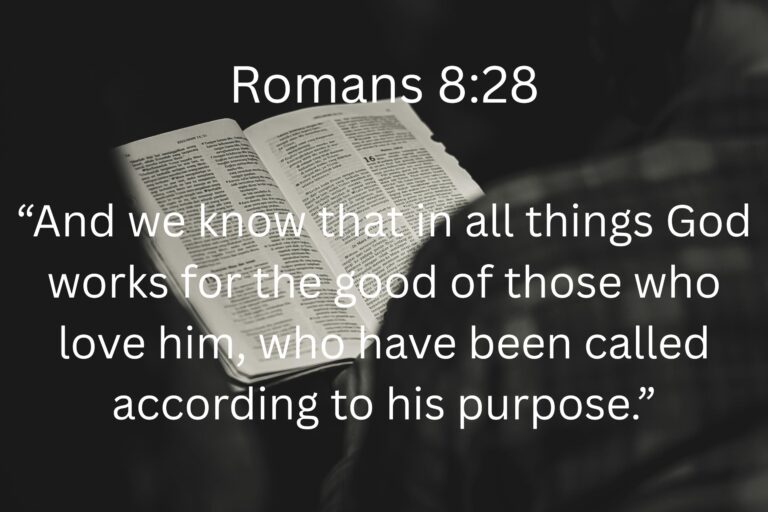 Best November Bible Verses: 30 Scriptures for Peace and Renewal